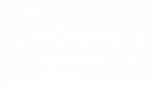 Abbey Scott